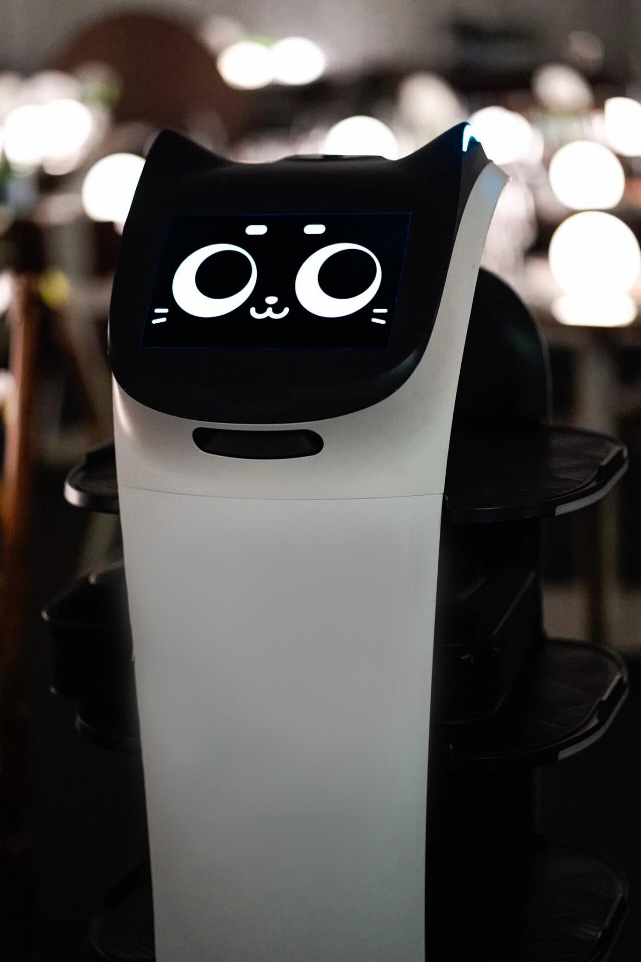 Робот-доставщик BellaBot, аренда - Время Роботов